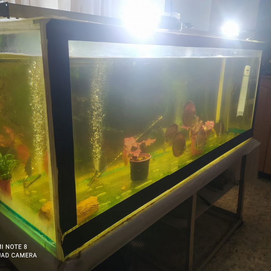 Аквариум с рыбками 450литров