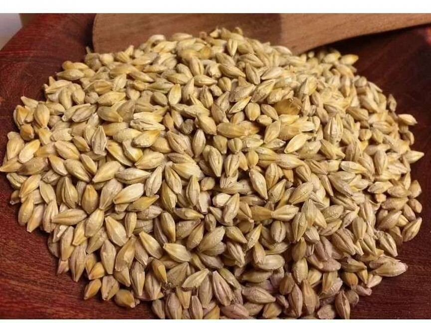 Продам :Зерно пшеница, ячмень