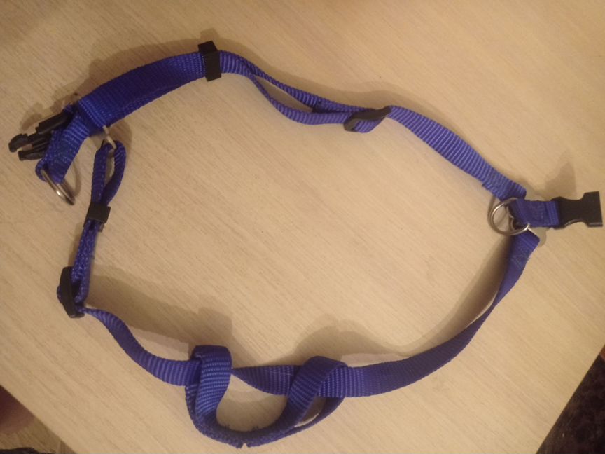 Шлейка для маленькой собаки