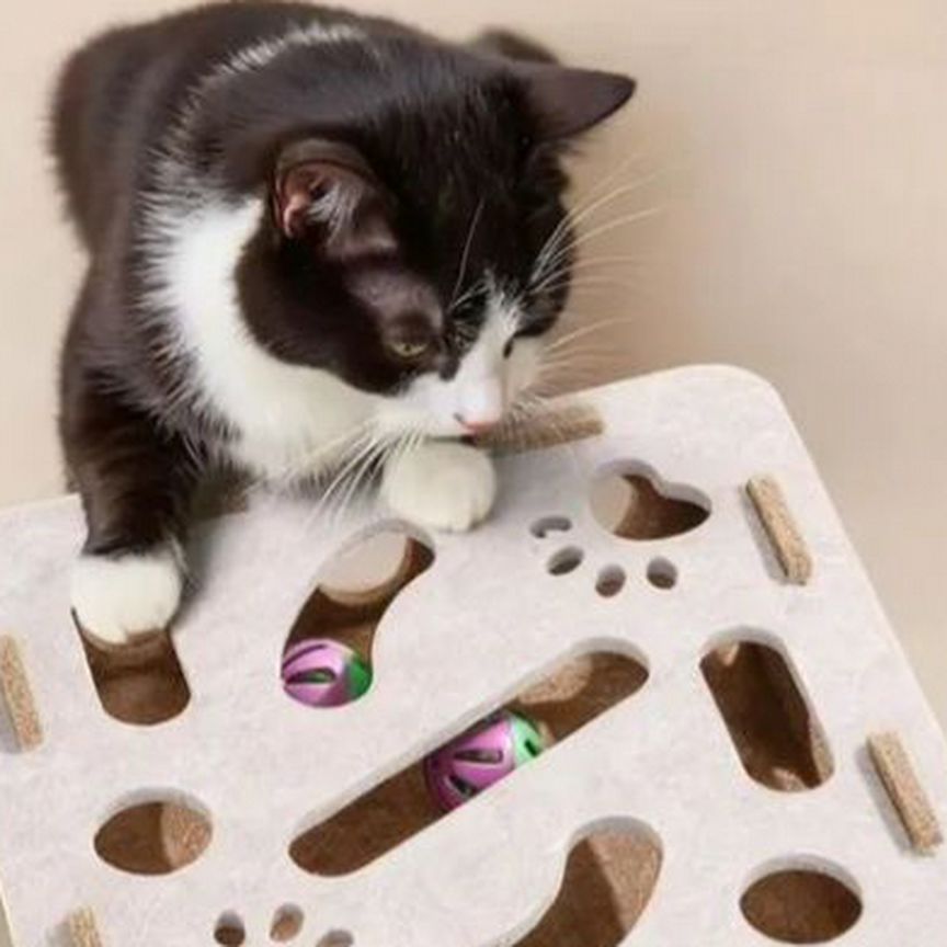 Интерактивные игрушки для кошек