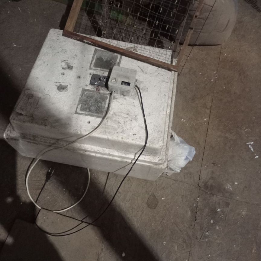 Инкубатор золушка