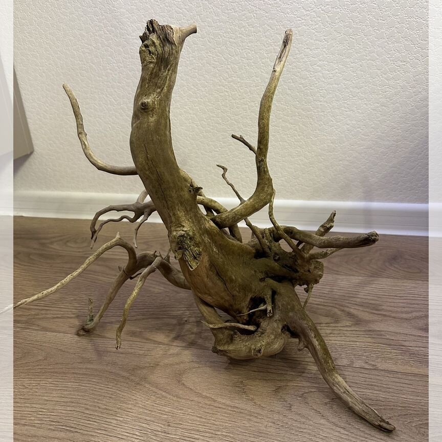 Коряги для аквариума