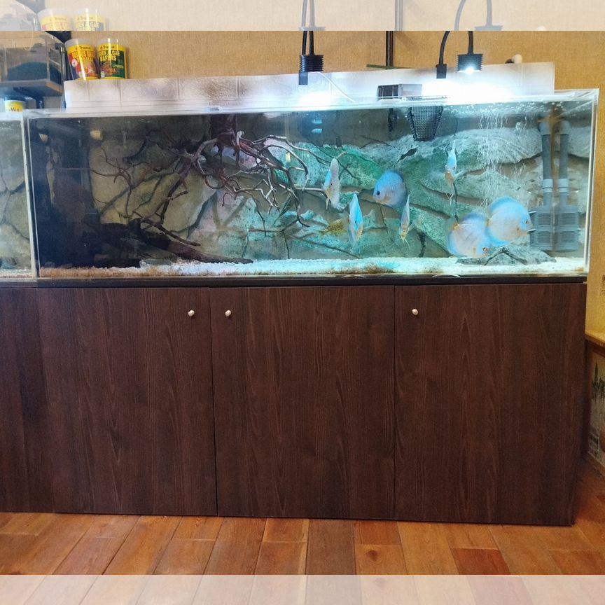 Аквариум из оргстекла