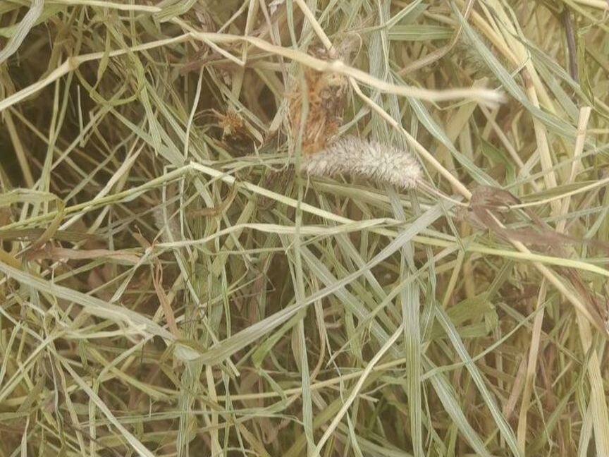 Сено в мешках