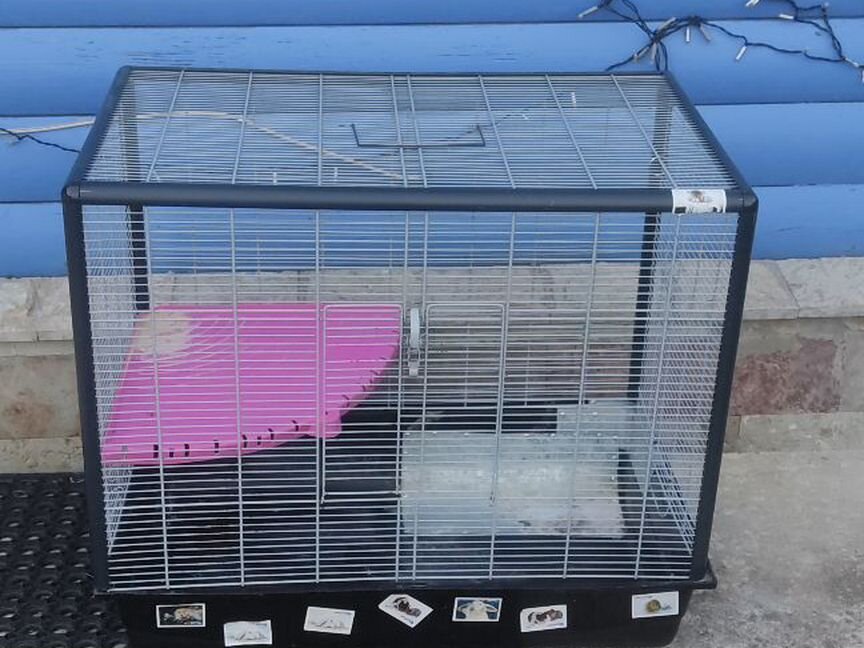 Savic Zeno 2 Клетка для грызунов 80*50*70 см