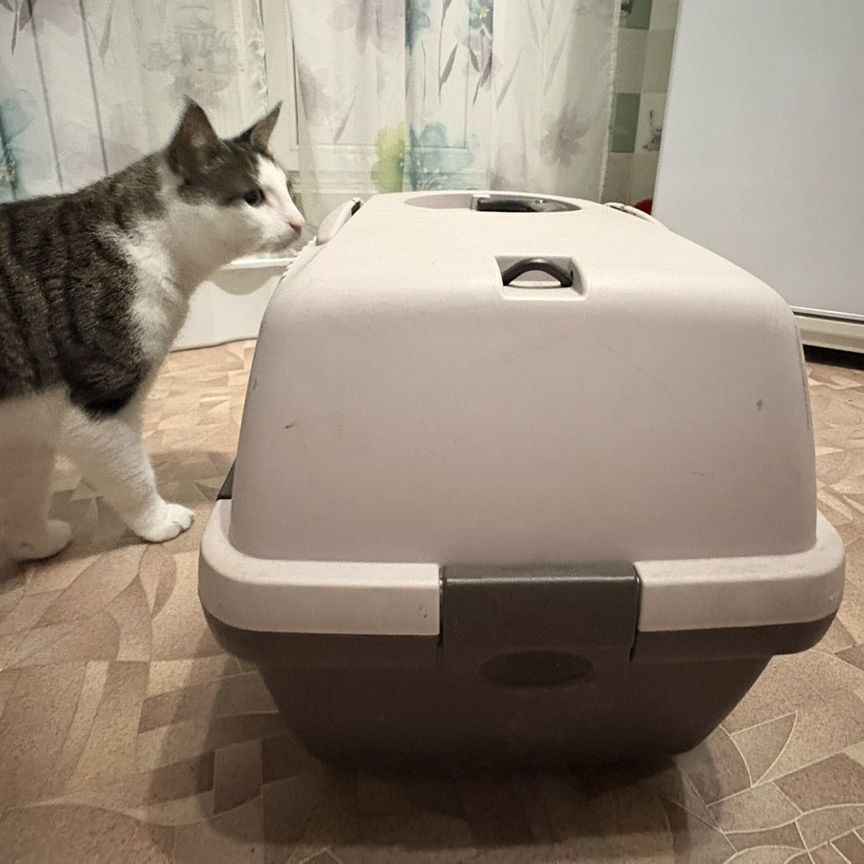 Переноска для кошек большая