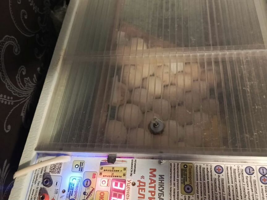 Инкубатор Матрица Дели, инкубатор Блиц - Норма