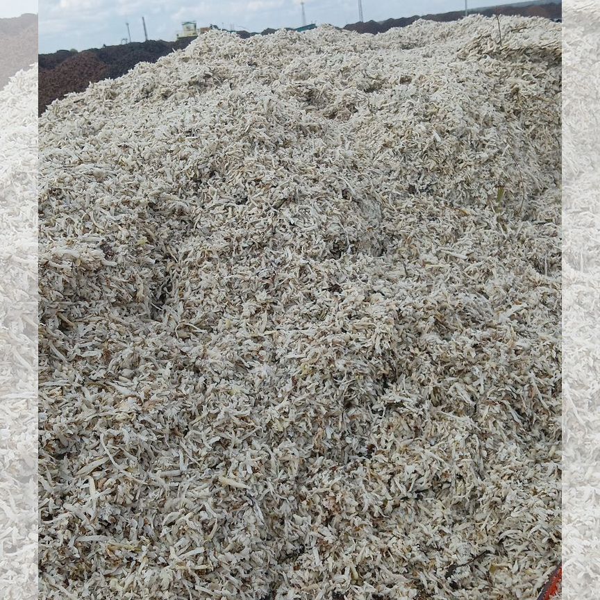 Жом свекольный