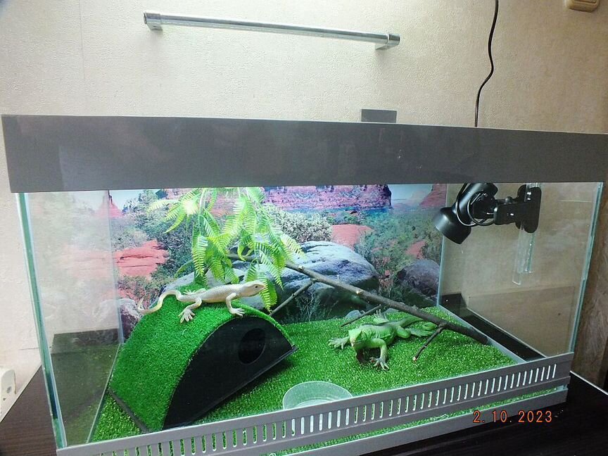 Террариум новый для ползающих рептилий