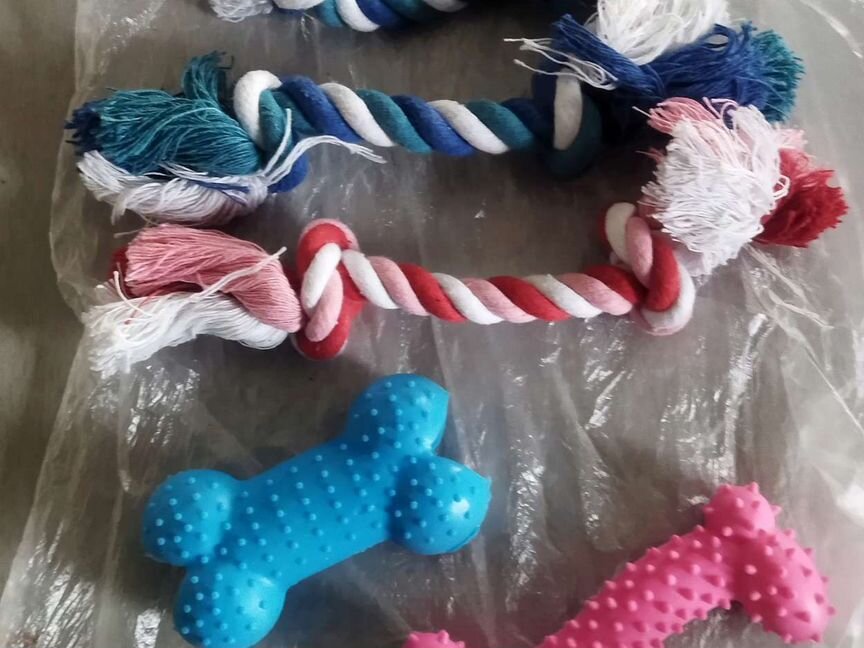 Собачьи игрушки
