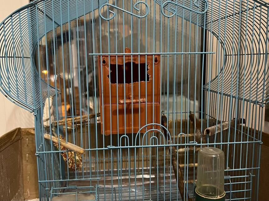 Клетка для попугая