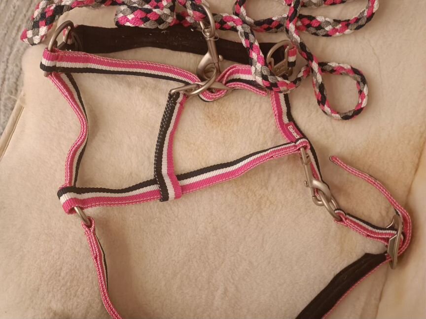 Недоуздок и чембур Eskadron