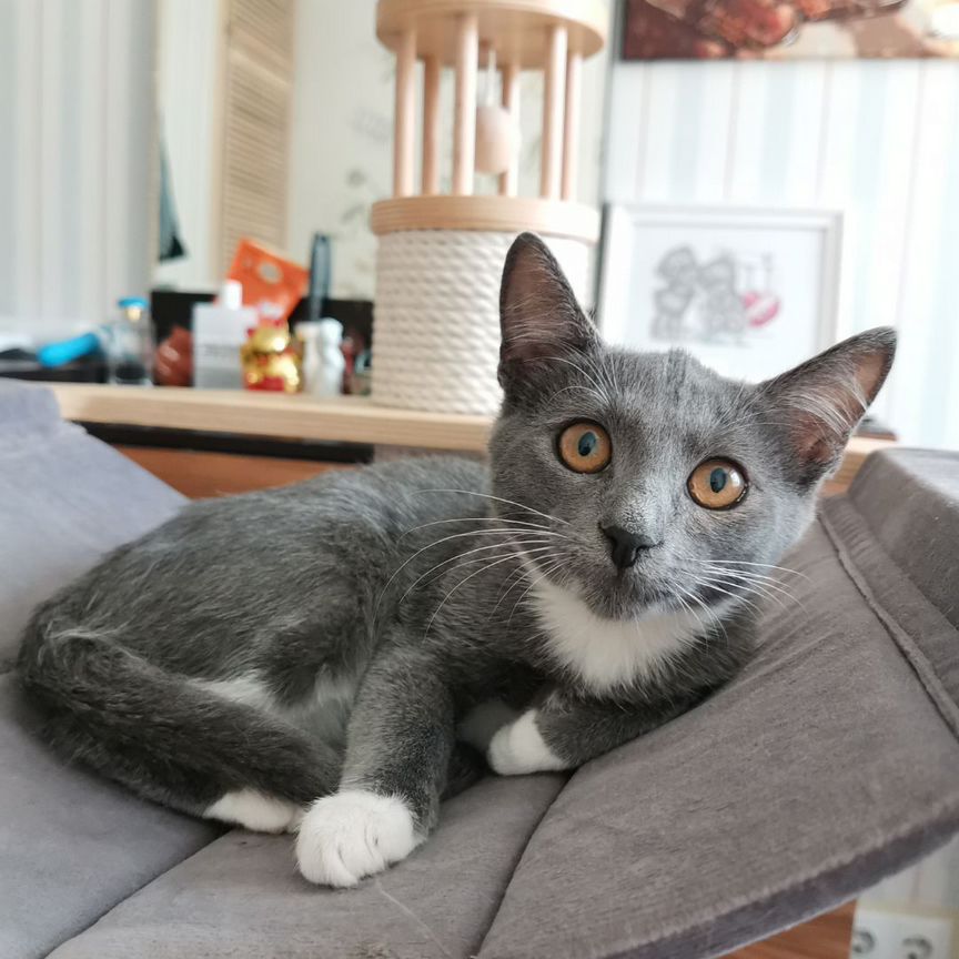 Нежный маленький которебенок Лялечка
