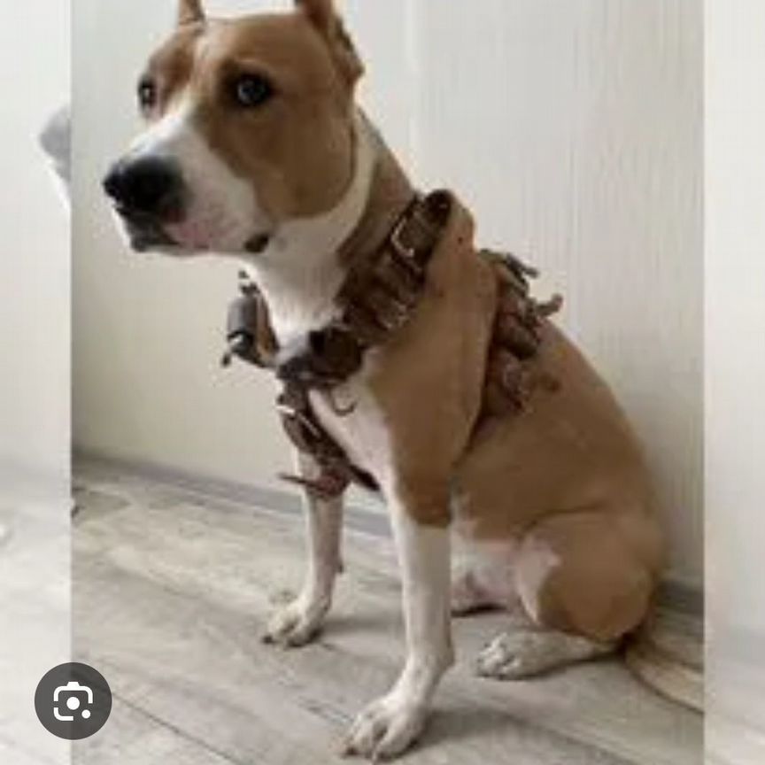 Шлейка с грузами