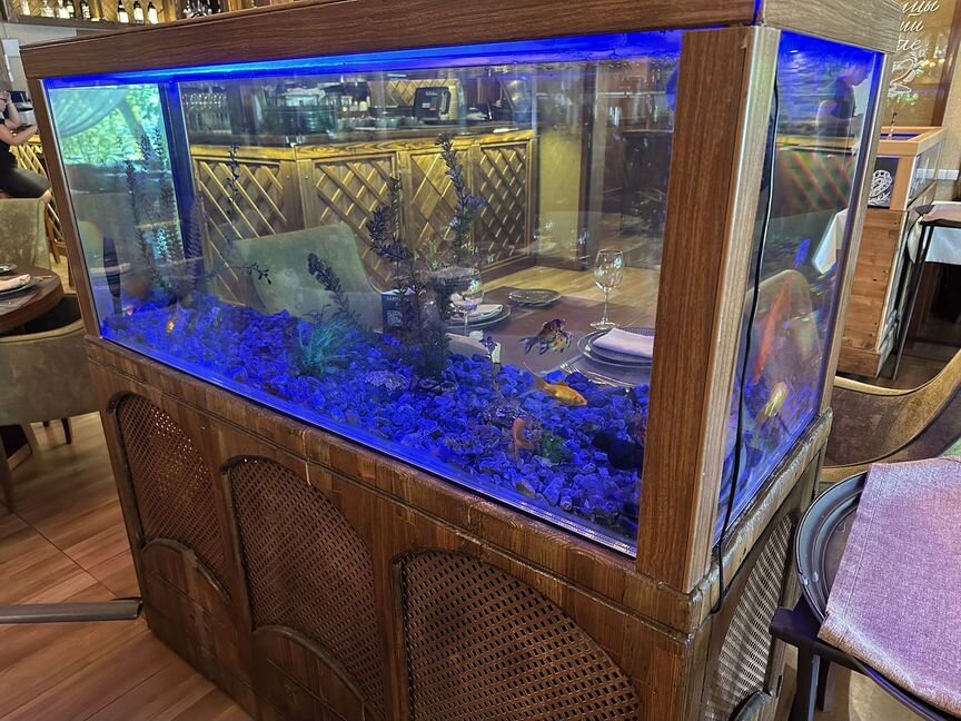 Морской аквариум 500 литров бу