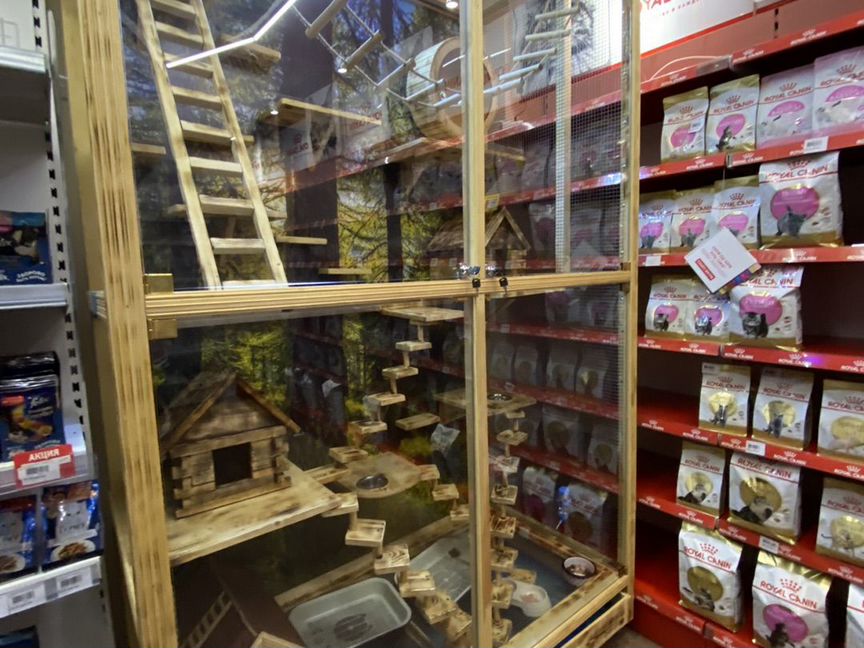 Клетка витрина для белок, хорьков