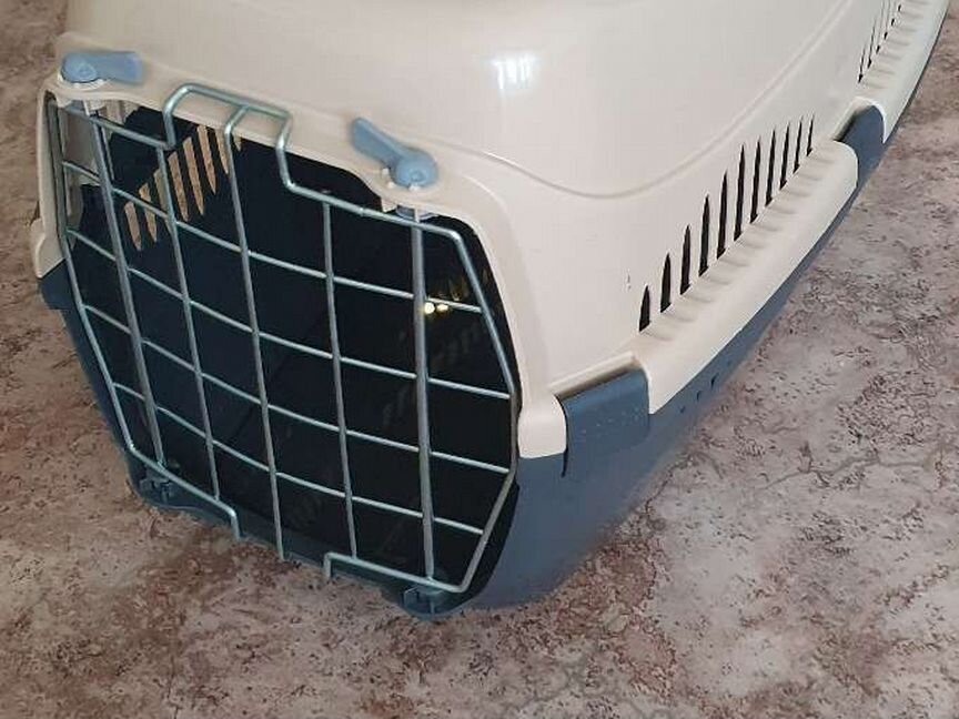 Переноска. Аренда