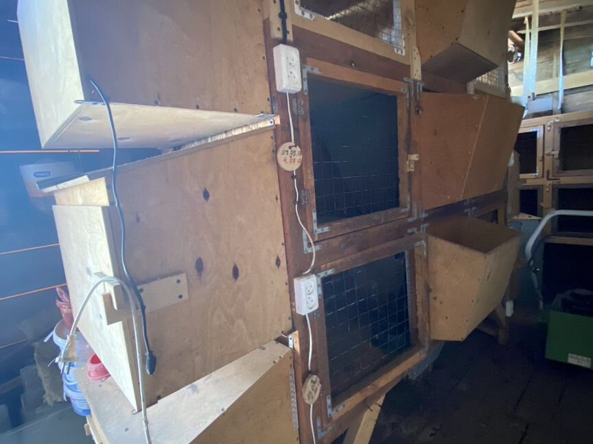 Клетки для кроликов бу