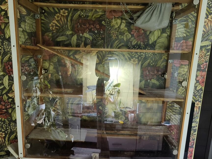 Витрина клетка для шиншилл, дегу