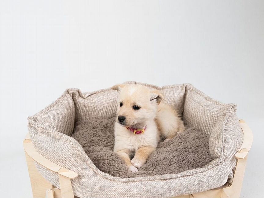 Лежанка для собак и кошек 60х50 см