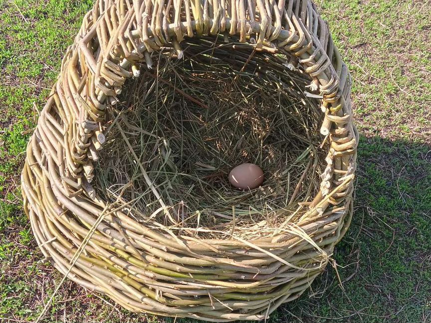 Корзина гнездо для куриц несушек