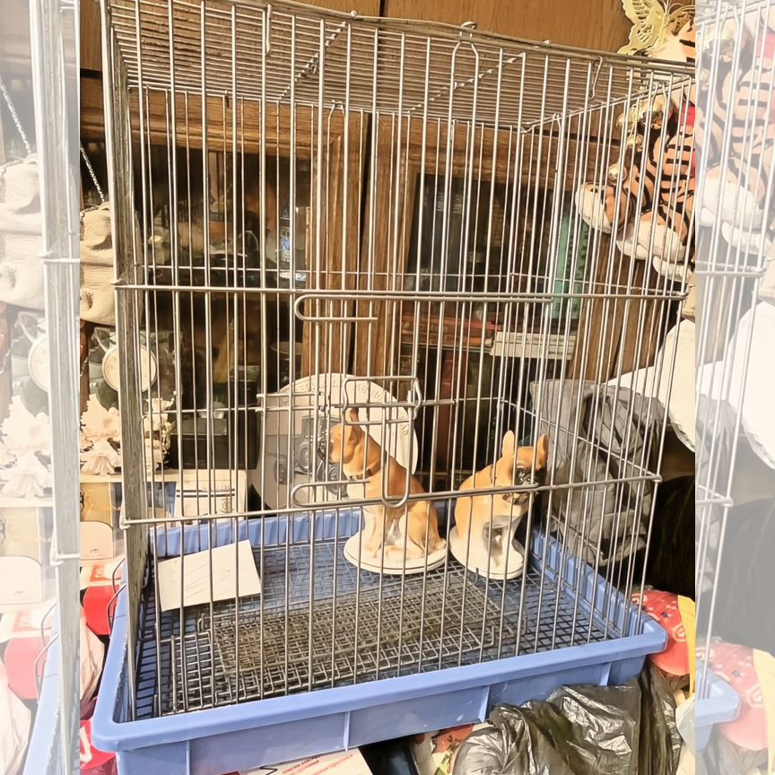 Клетка для птиц большая в москве