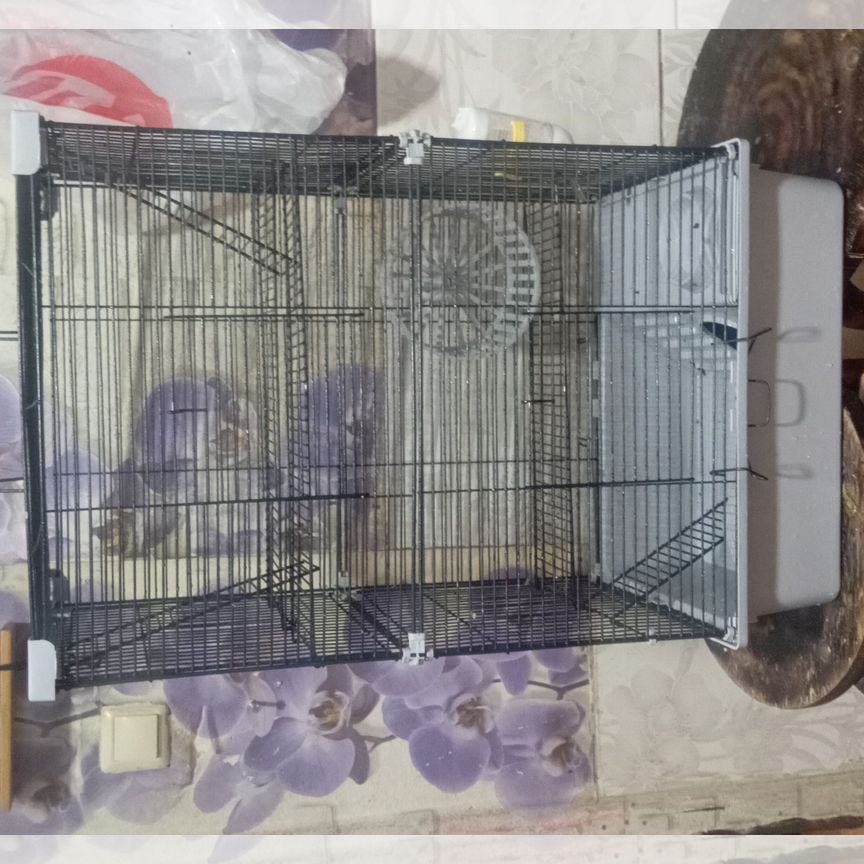 Клетка для грызунов большая