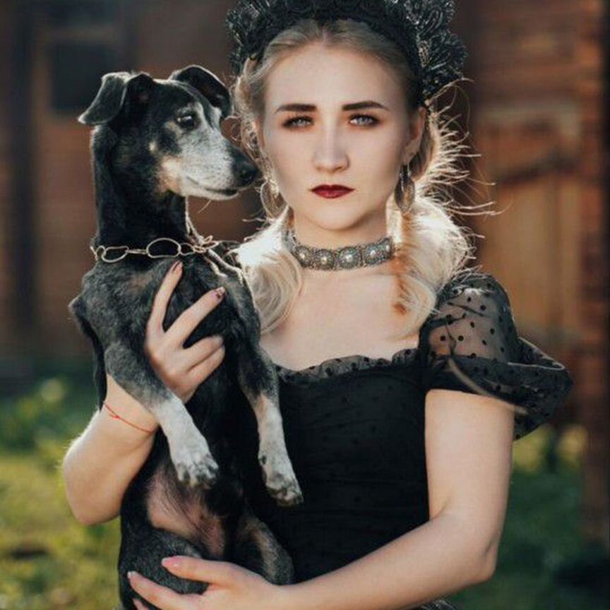 Потерялась собачка