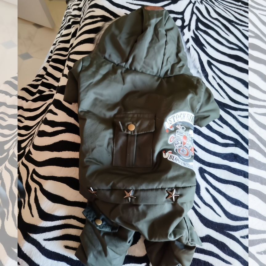 Одежда для собак мелких пород мальчик