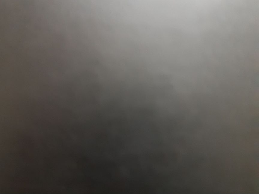 Кошка самка