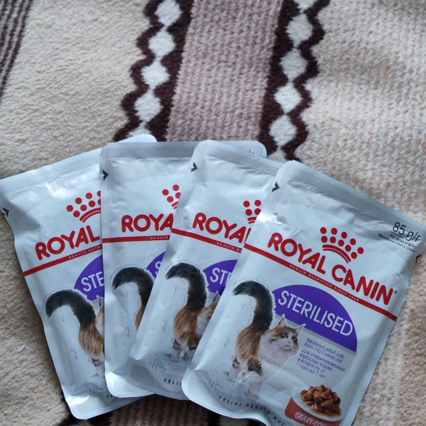 Влажный корм для кошек royal canin