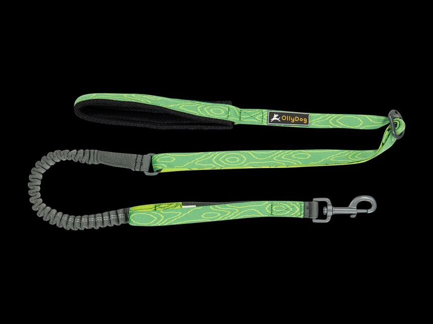 Поводок Ollydog Flagstaff, зеленый