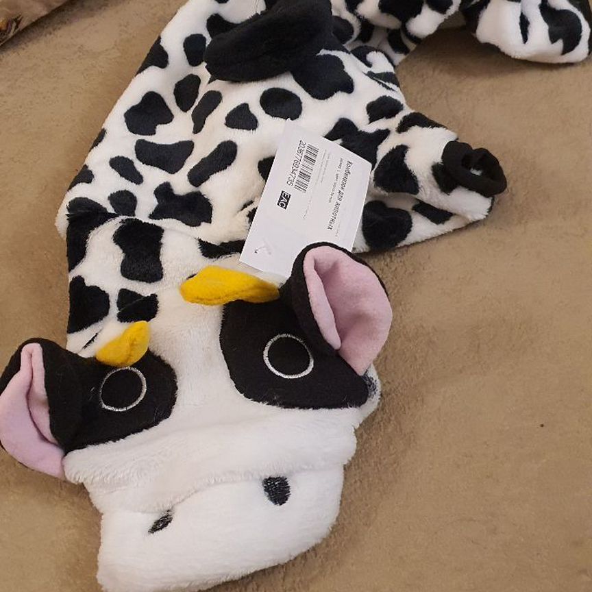 Одежда для маленьких пород собак