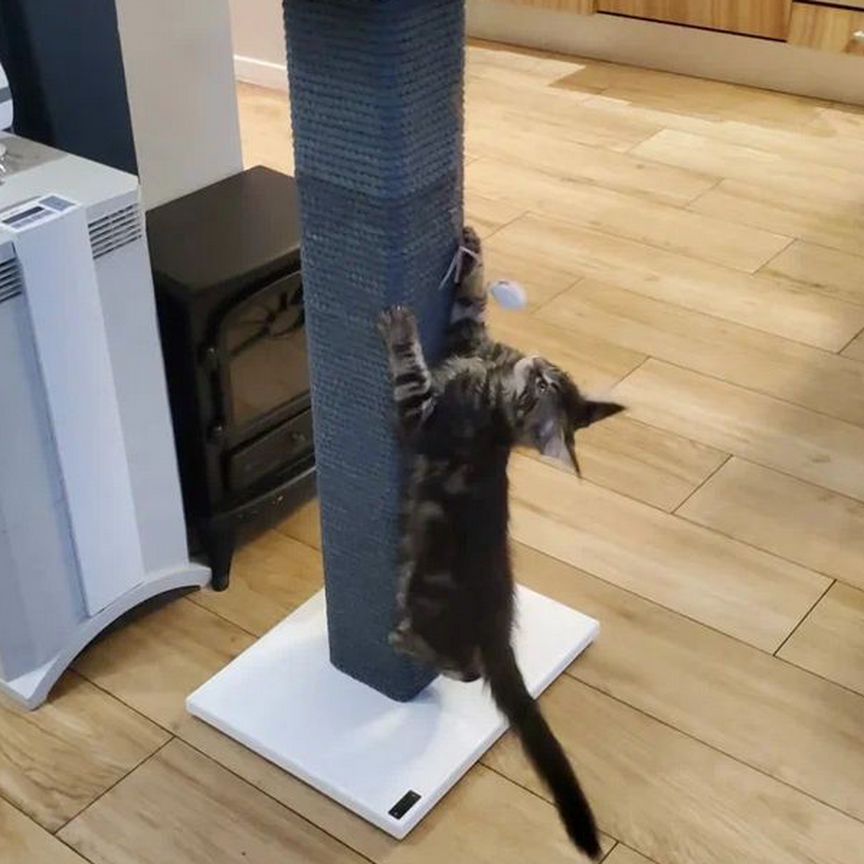 Когтеточка домик для кошки