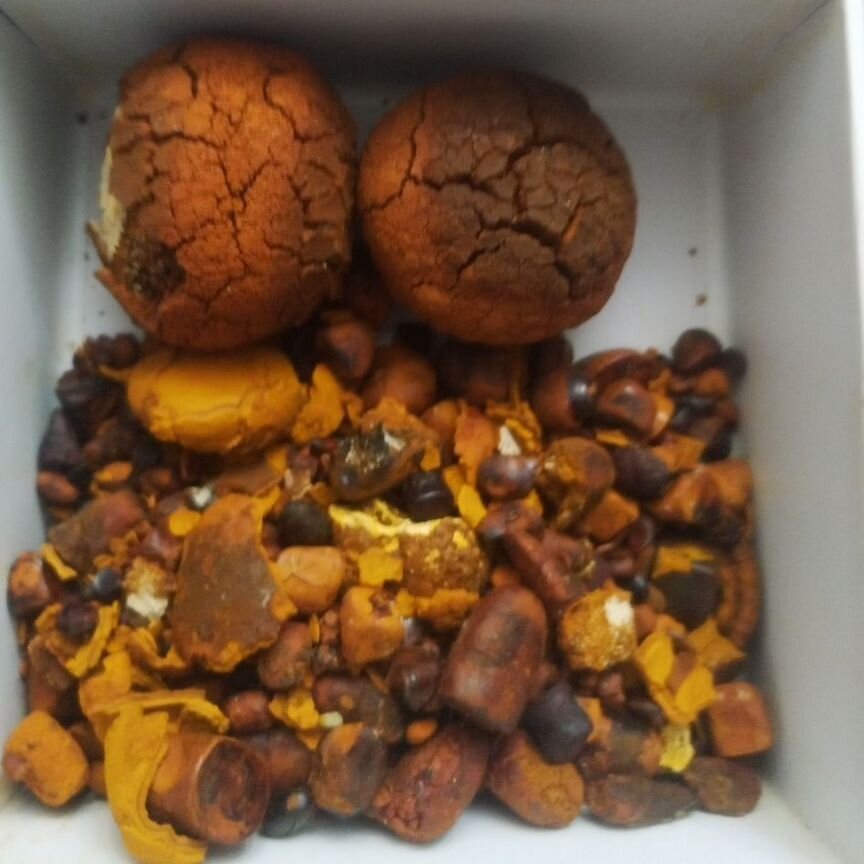 Продам желчные говяжий камень крс