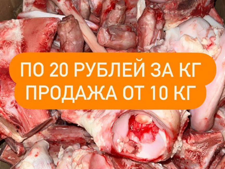 Мясо для собак