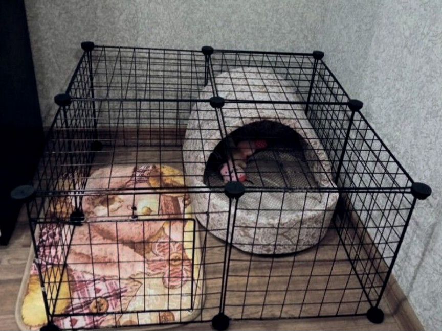 Вольер манеж