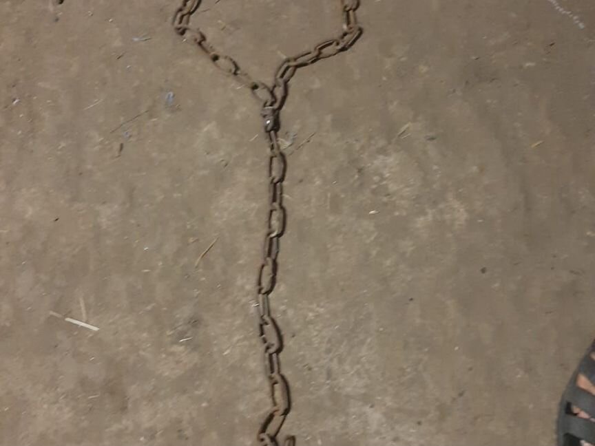 Цепи для крс