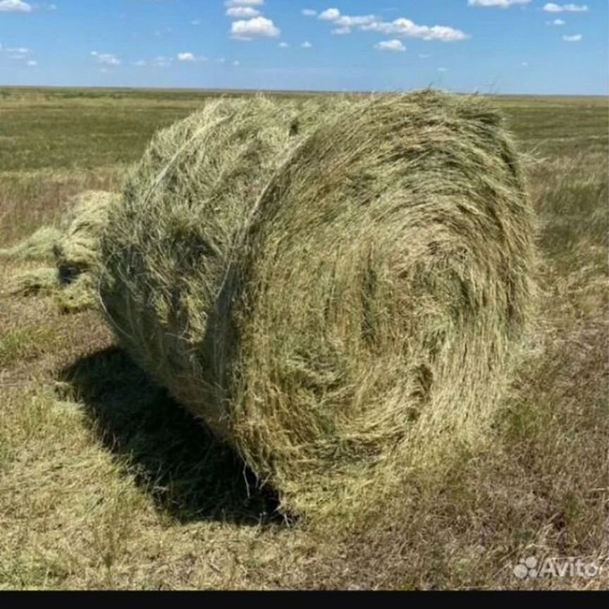 Сено в тюках