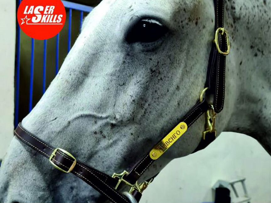 Таблички для конюшни на денник