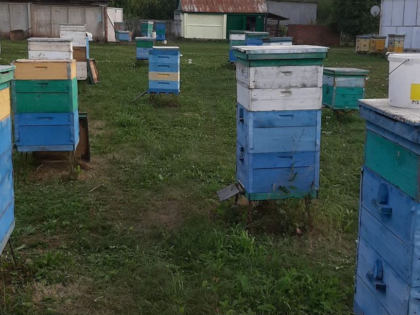 Улей для пчел бу