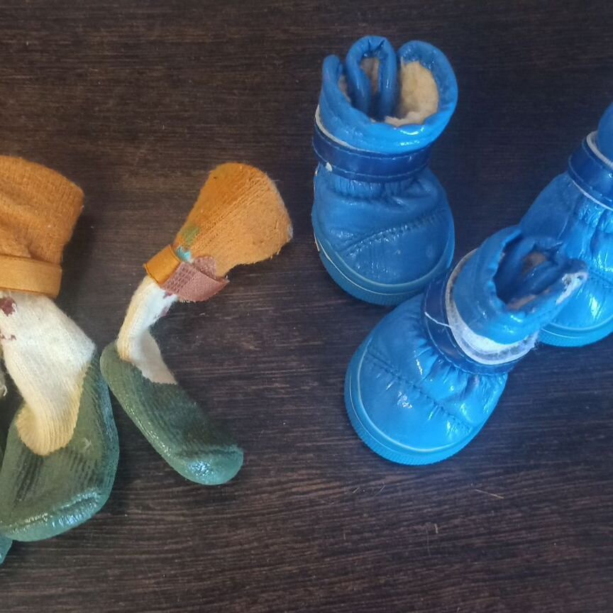 Обувь для собаки