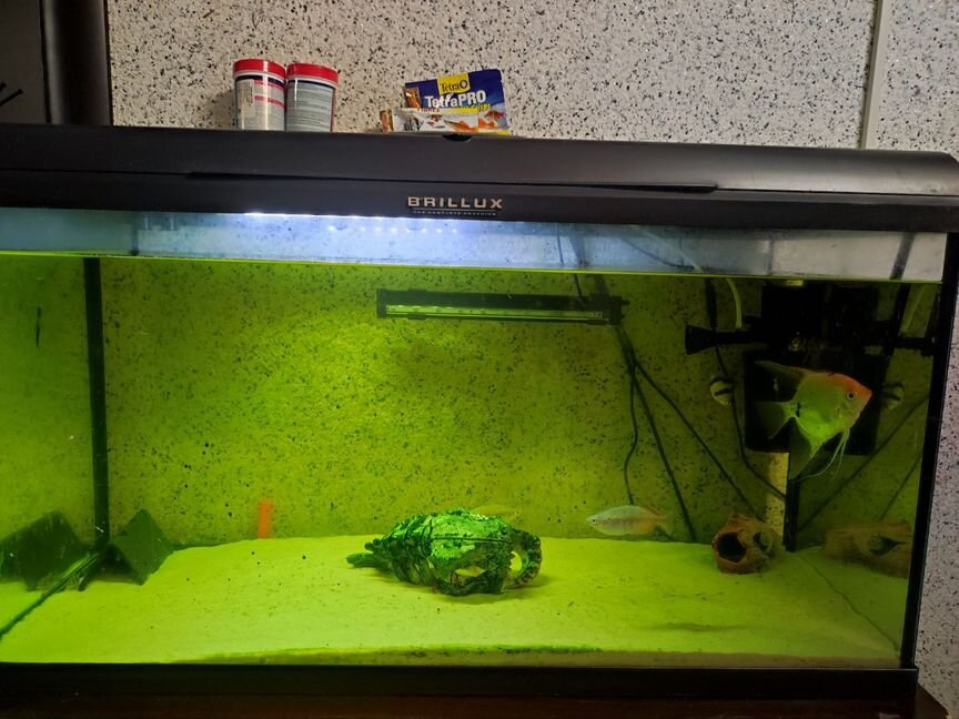 Аквариум с рыбками