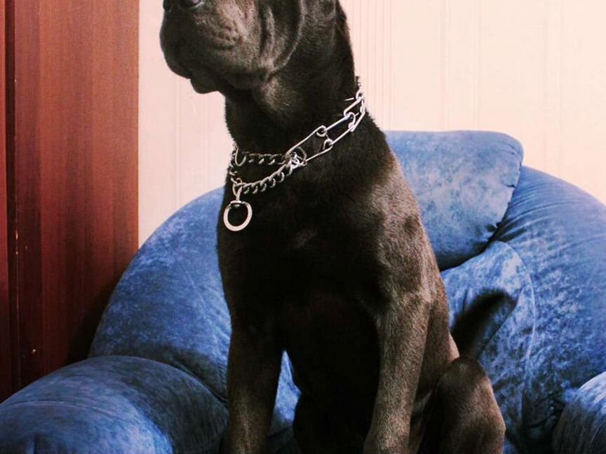 Вязка