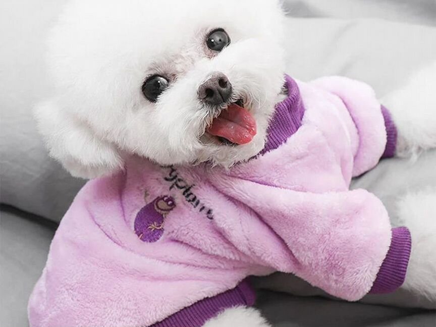 Плюшевые кофты для собак и кошек