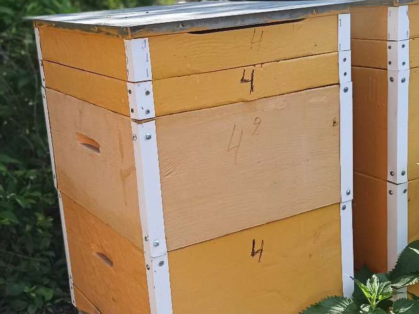 Продам ульи для пчел