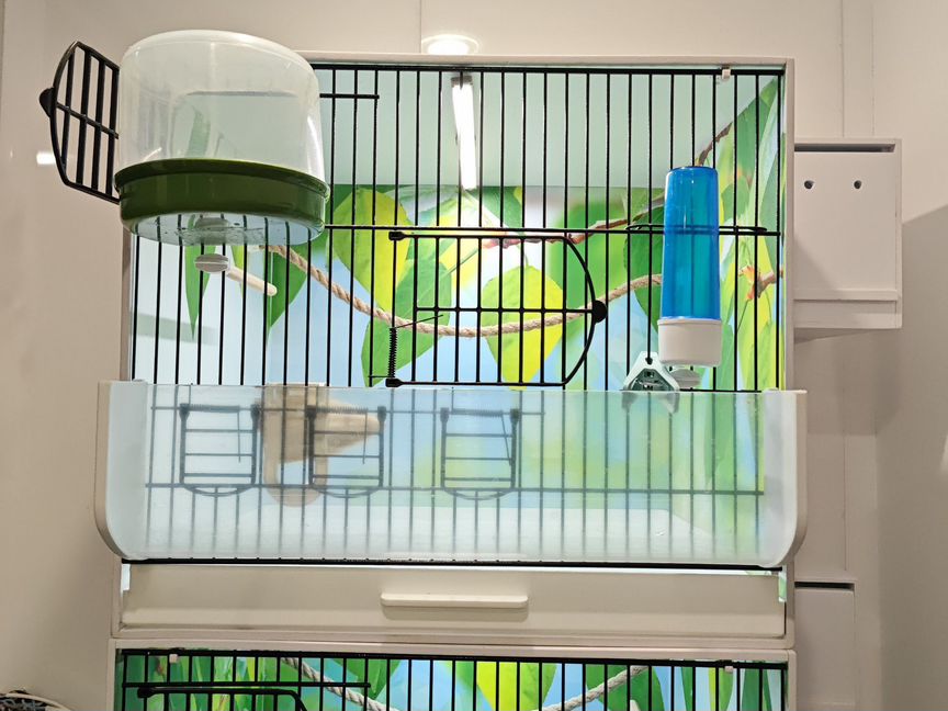 Клетка, бокс разводной