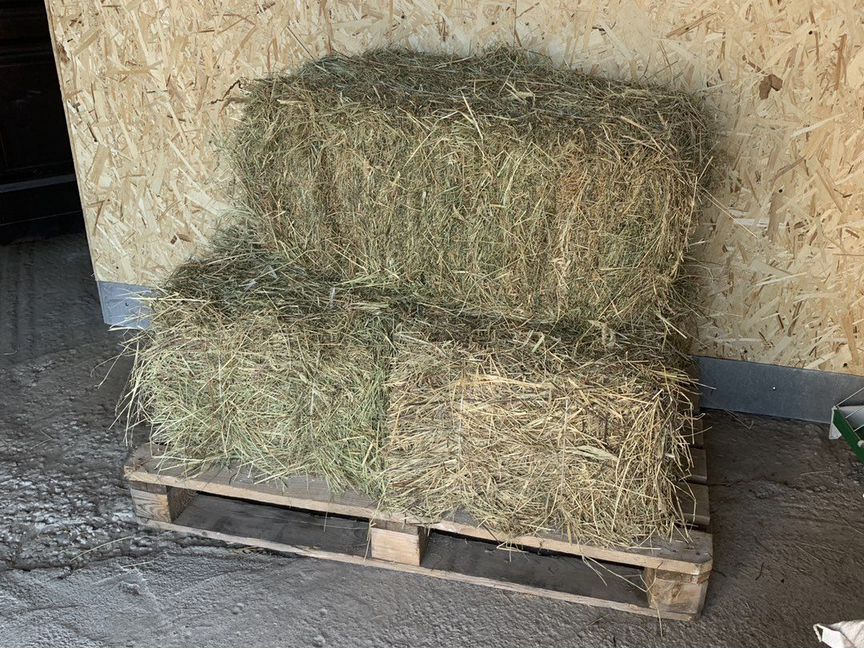 Сено в кипах