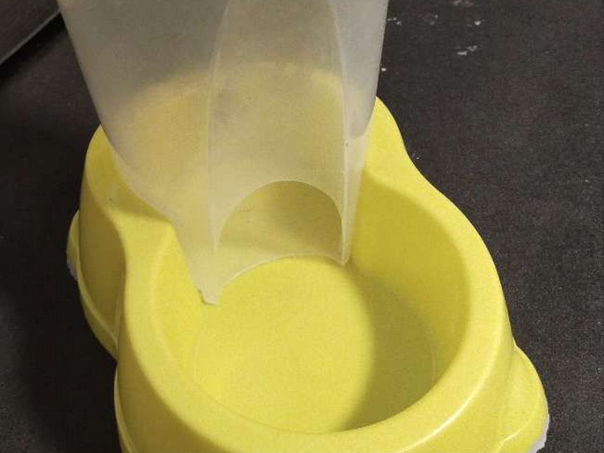 Кошачьи принадлежности