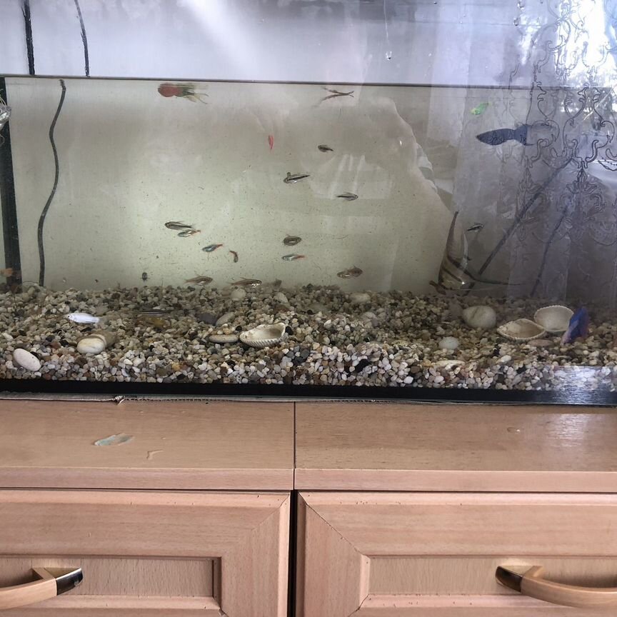 Грунт для аквариума пропант 2 2.5 мм 10 кг